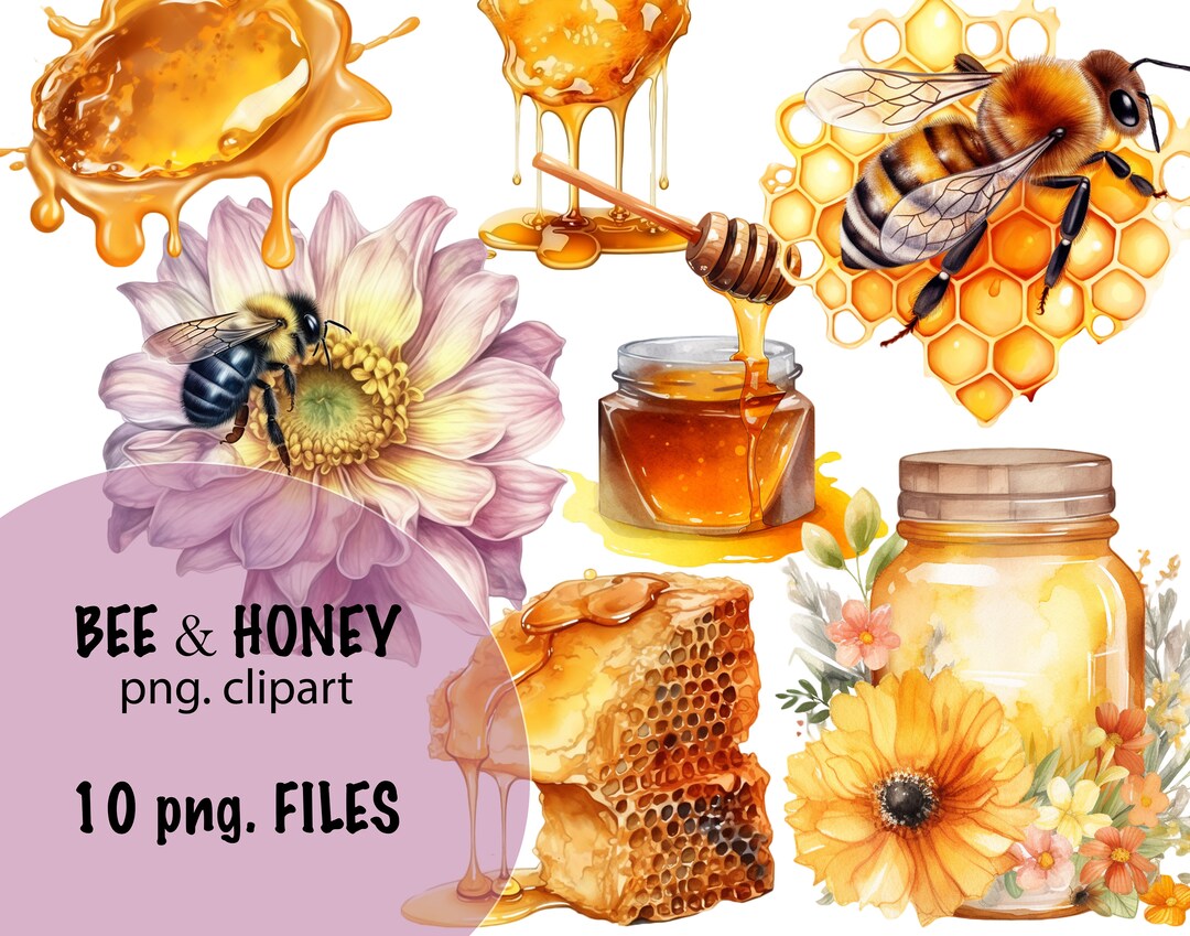 Watercolor Bee Honey Clipart, Flower Bee Png, Cute Honeycomb, Honey Jar ...