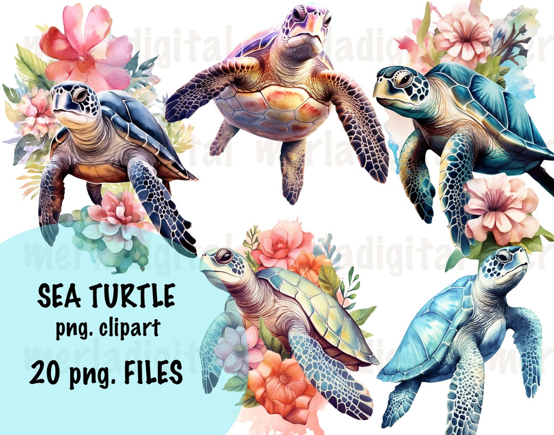 Watercolor Sea Turtle PNG. Clipart Ocean Animals Flowers Clip - Etsy