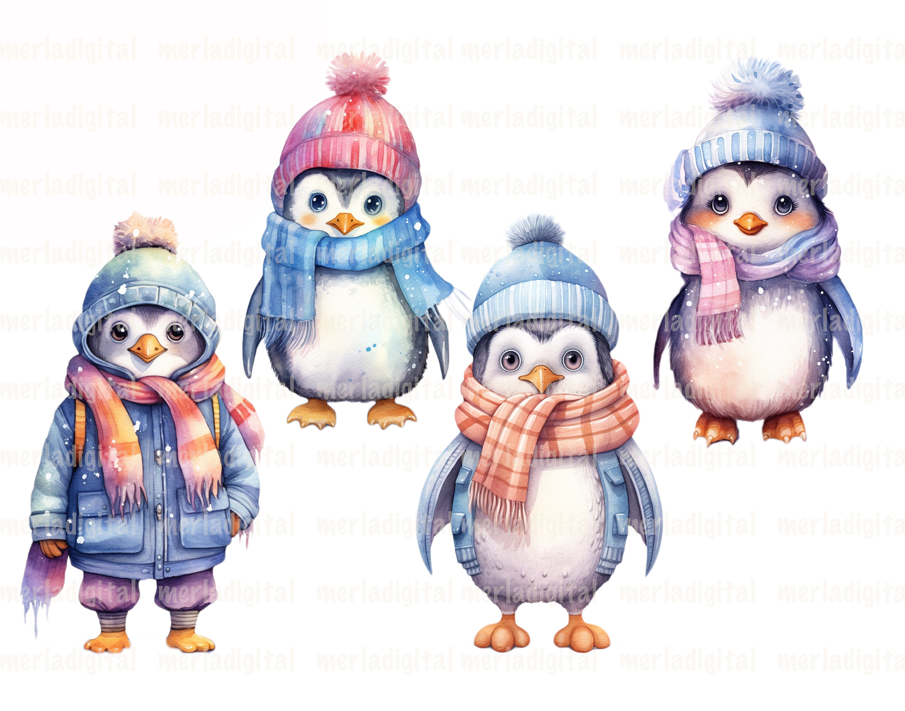 Cute Penguin Clipart Watercolor Penguin Illustration Winter - Etsy