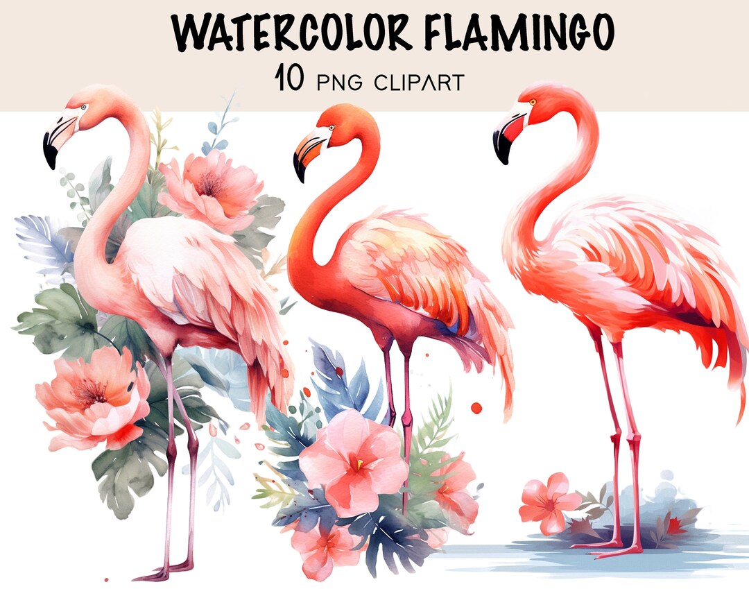 Flamingo Watercolor Clipart Tropical Illustration Flowers - Etsy