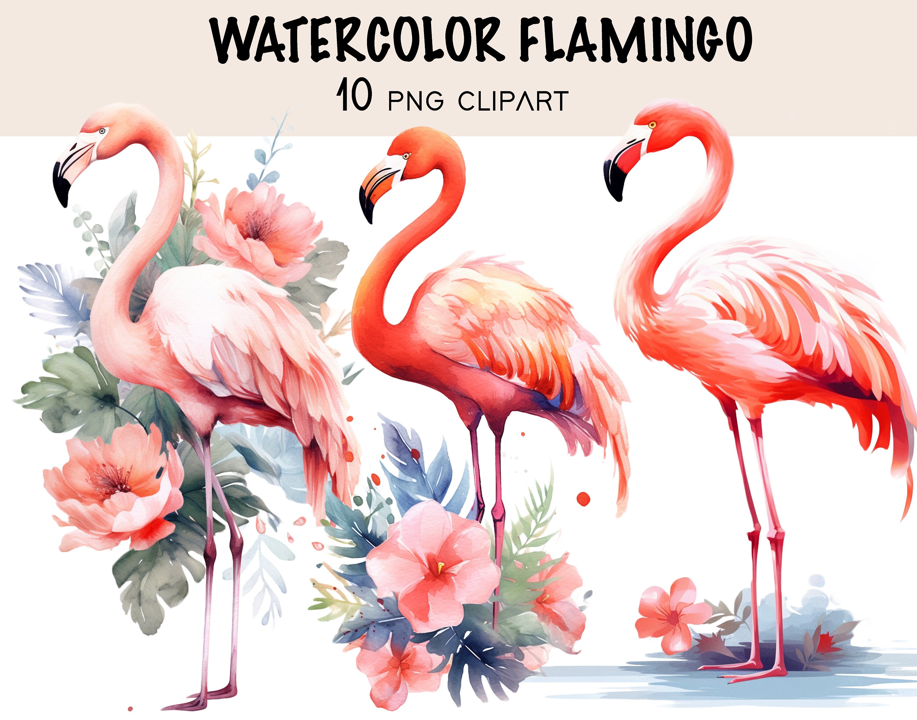 Flamingo Watercolor Clipart Tropical Illustration Flowers Leaves PNG ...
