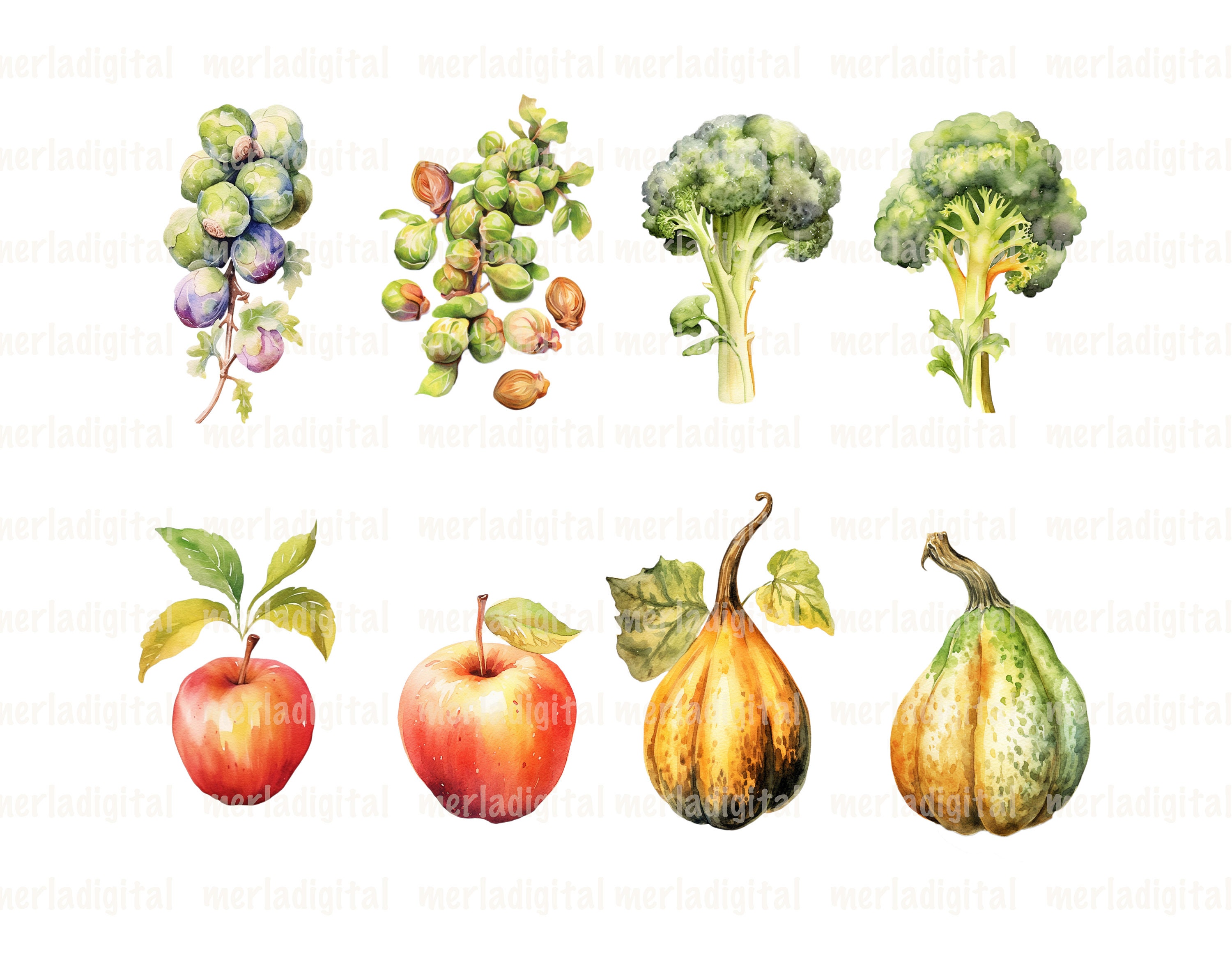 Watercolor Fall Vegetables Clipart Autumn Vegetables and Fruits Png ...