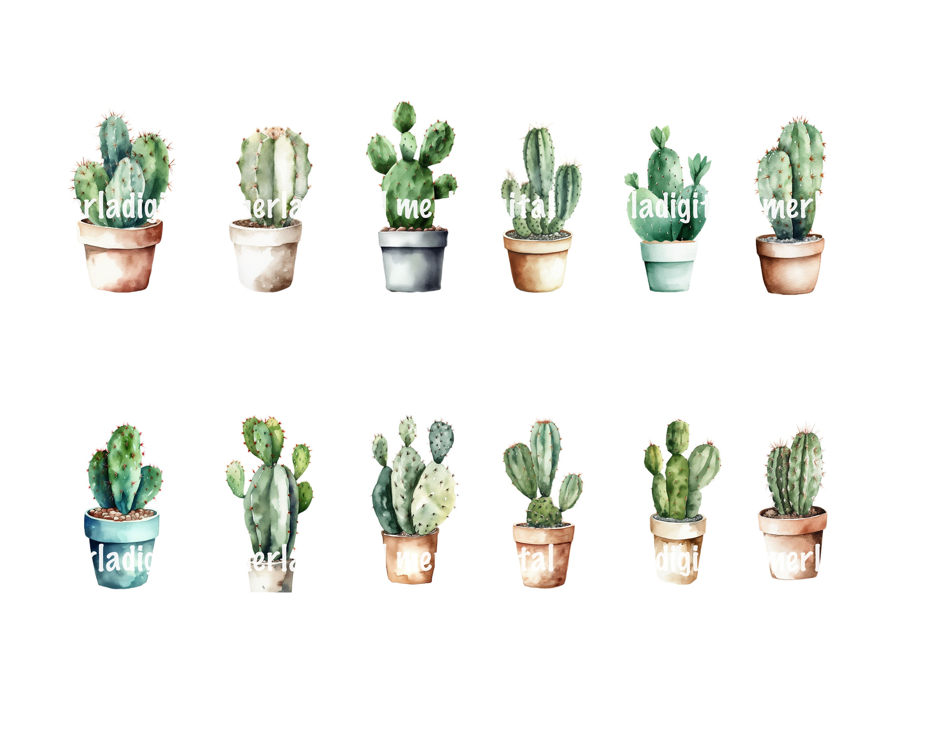 Cactus Watercolor Clipart Png Printable Image PNG Instant - Etsy