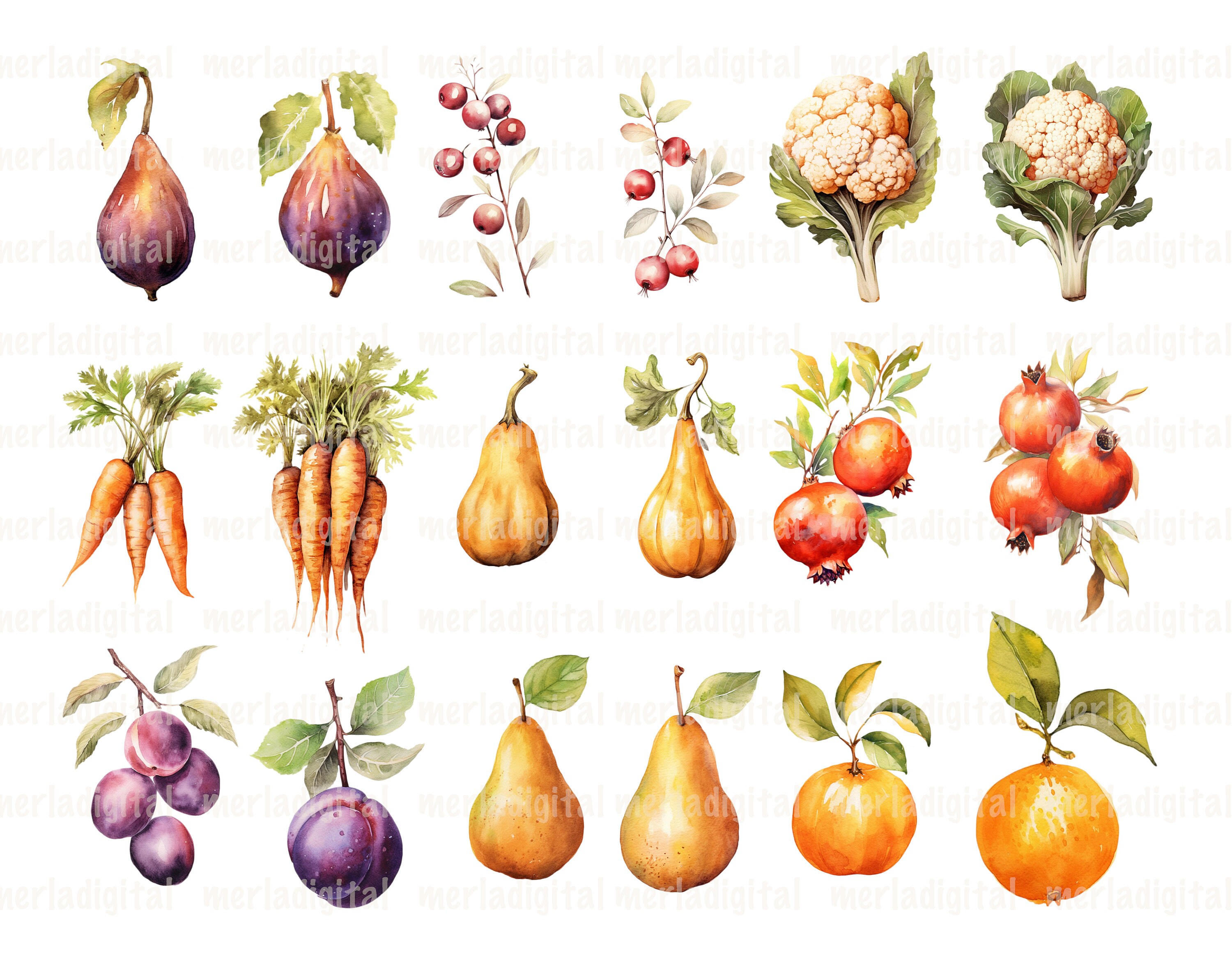 Watercolor Fall Vegetables Clipart Autumn Vegetables and Fruits Png ...