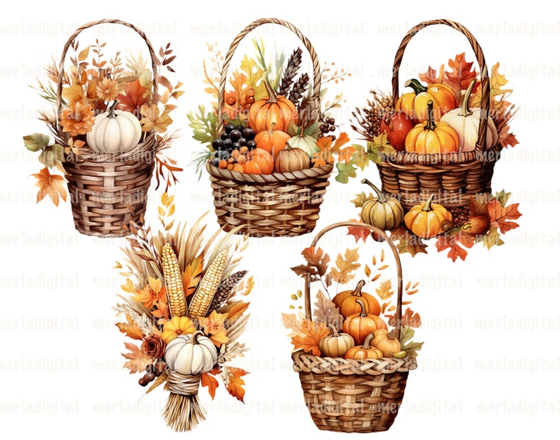 Autumn Harvest Clipart Watercolor Pumpkin Clipart Fall - Etsy