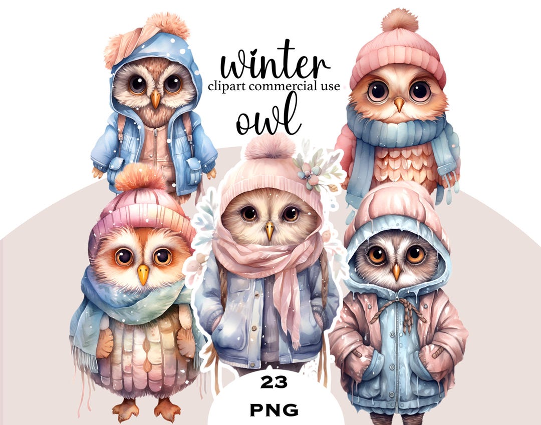 Winter Owl Clipart PNG Bundle, Kids Woodland Art (digital Download) - Etsy