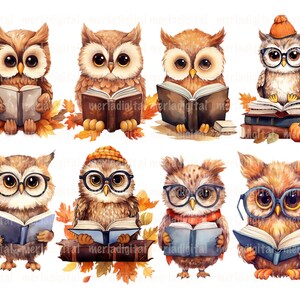 Autumn Owl Watercolor Clipart, Fall Animal Funny Png, Kids Clipart ...