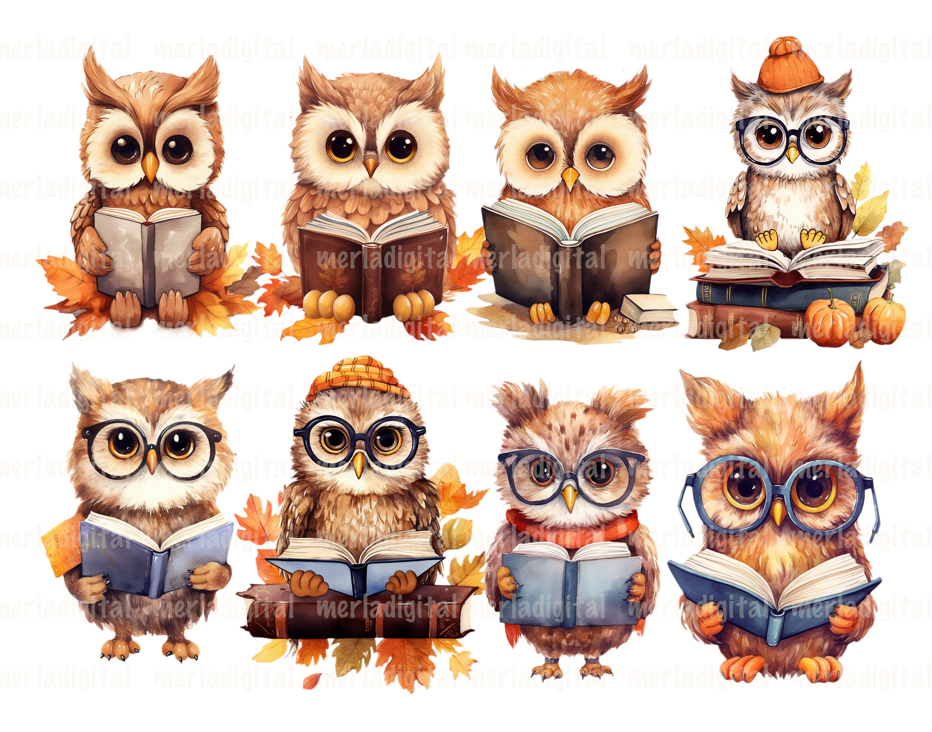 Autumn Owl Watercolor Clipart Fall Animal Funny Png Kids - Etsy