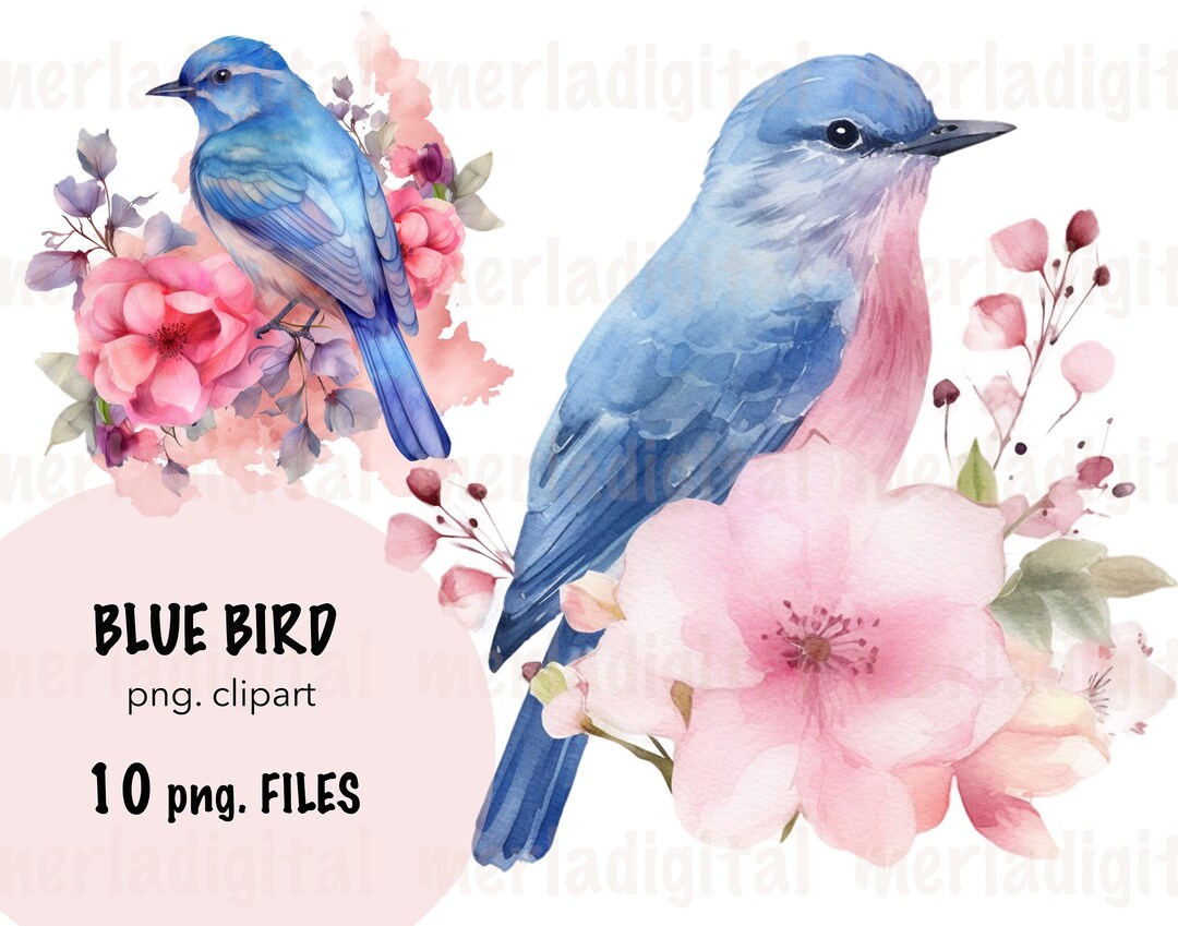 Blue Bird Clipart, Watercolor Nursery Art Png, Pink Flowers Digital ...