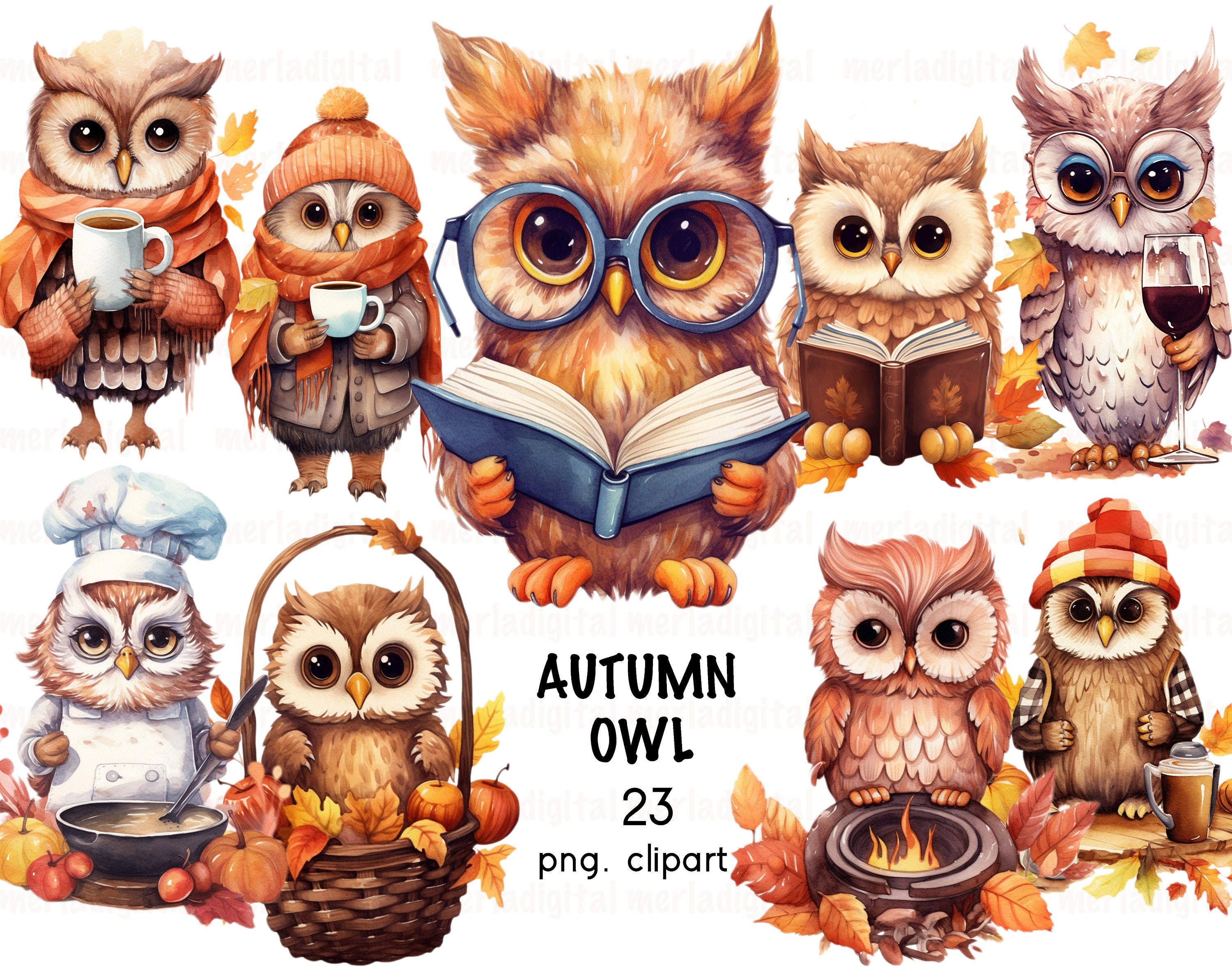 Autumn Owl Watercolor Clipart Fall Animal Funny Png Kids - Etsy
