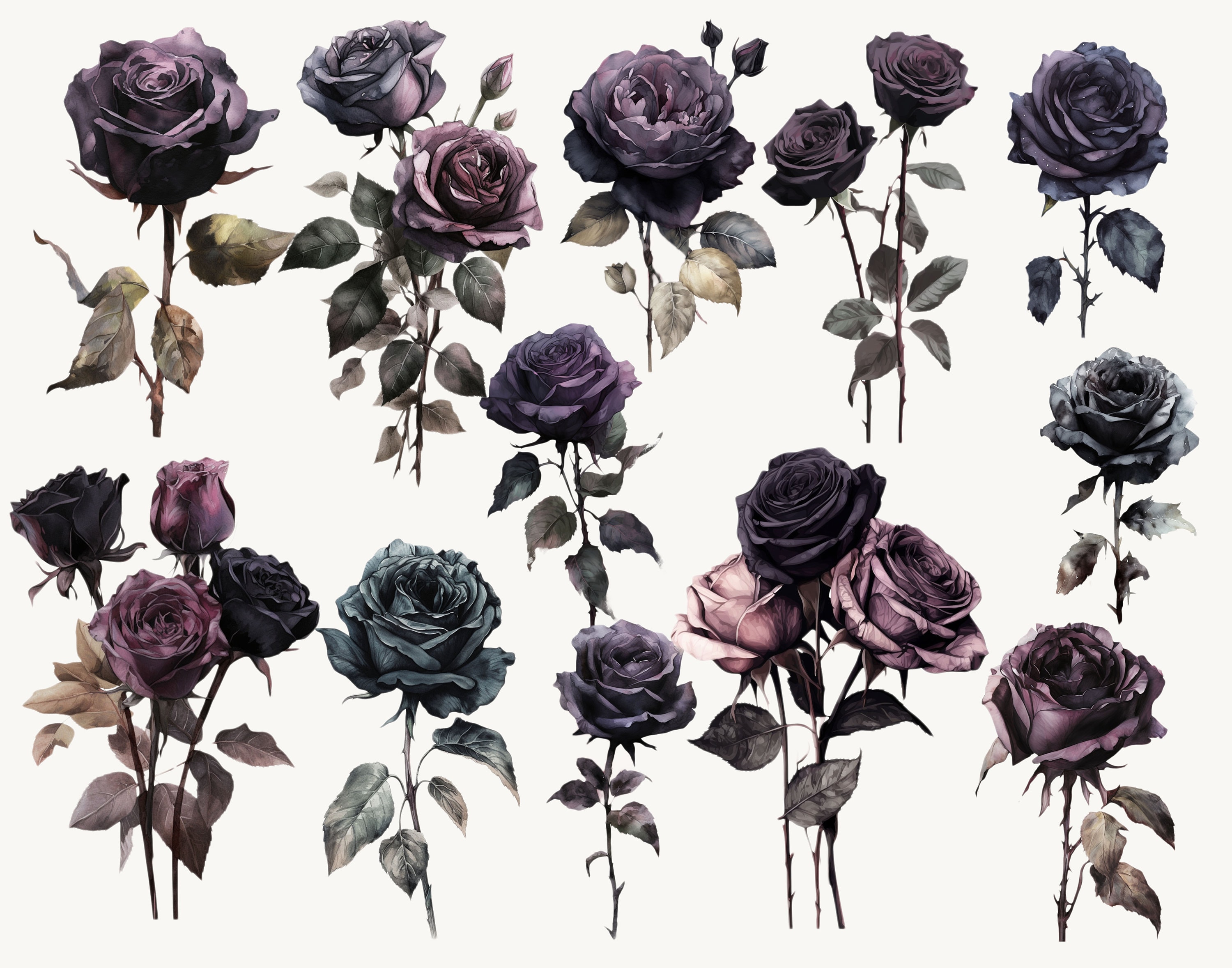 Black Rose Valentine Clipart Gothic Floral Magical Gothic Flowers Clip ...