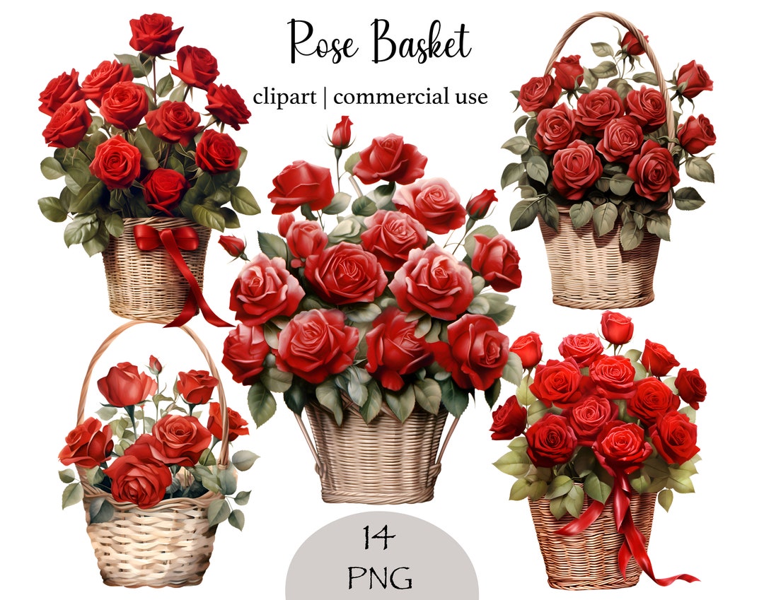 Red Rose Basket Clipart Valentine Watercolor Red Rose Clipart Bundle ...