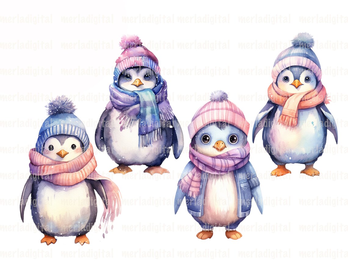 Cute Penguin Clipart Watercolor Penguin Illustration Winter - Etsy