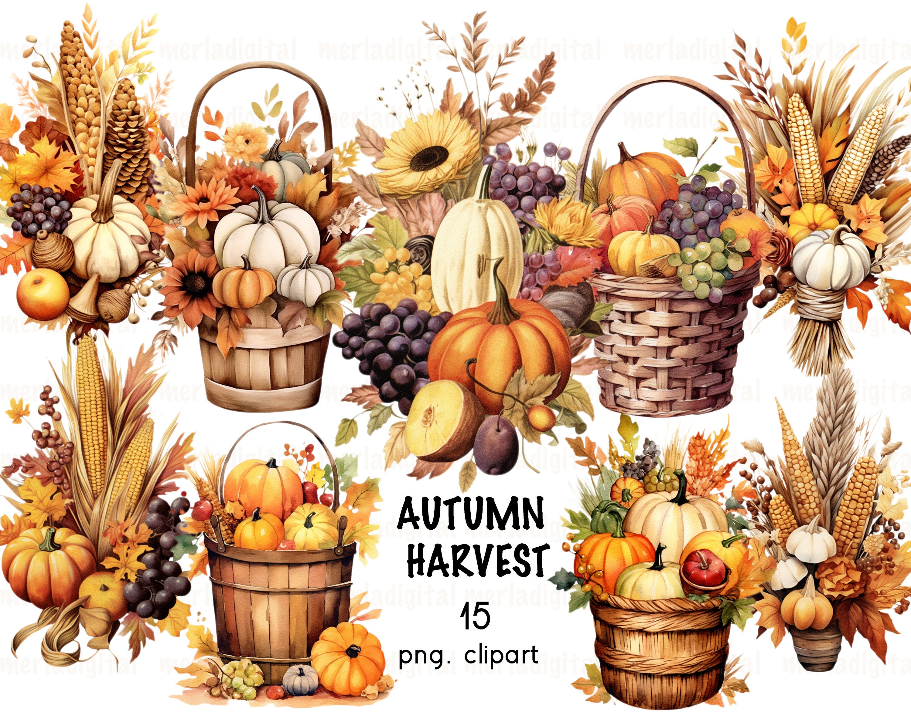 Autumn Harvest Clipart Watercolor Pumpkin Clipart Fall - Etsy