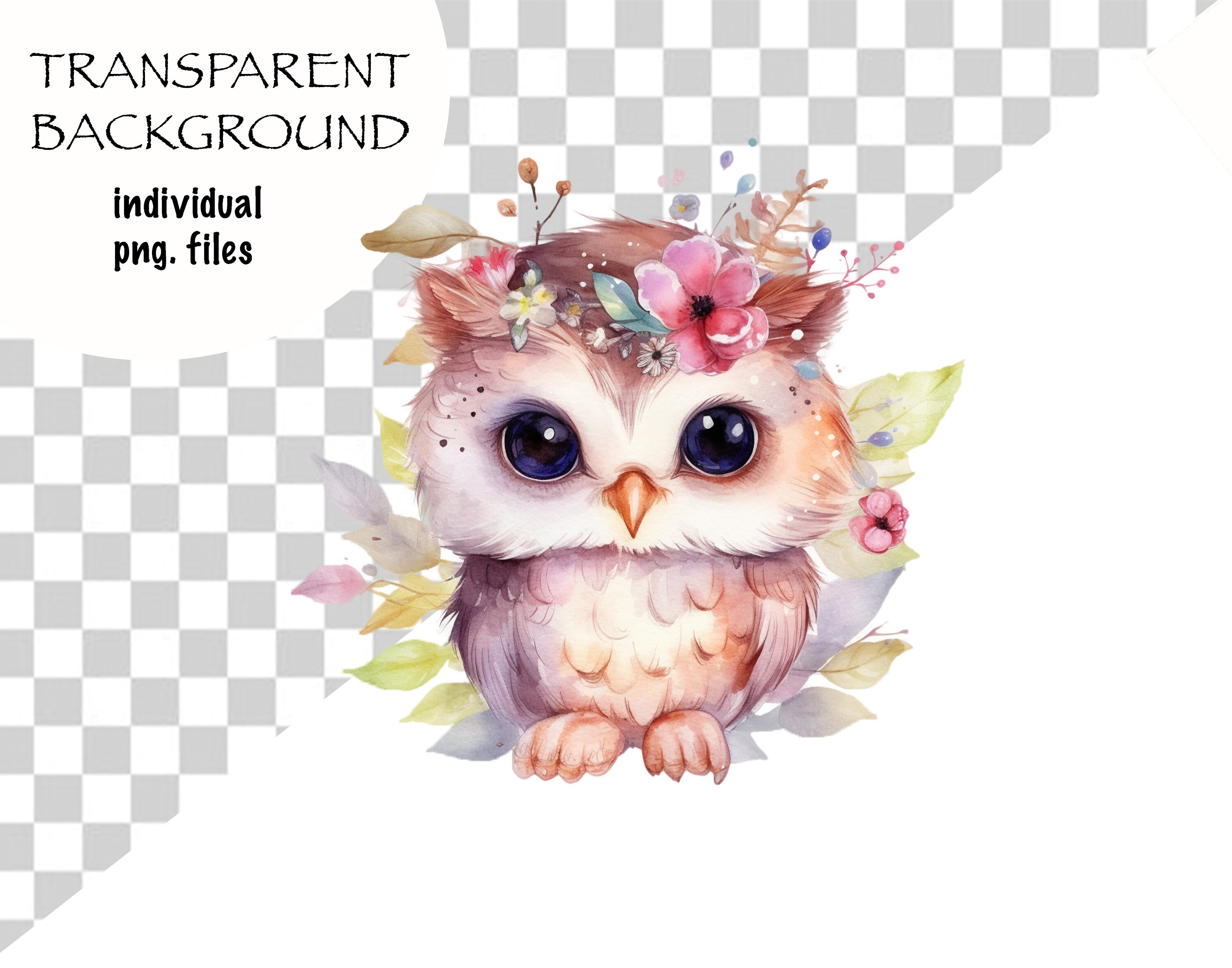 Floral Owl Watercolor Clipart Craft Card Making Transparent Background ...