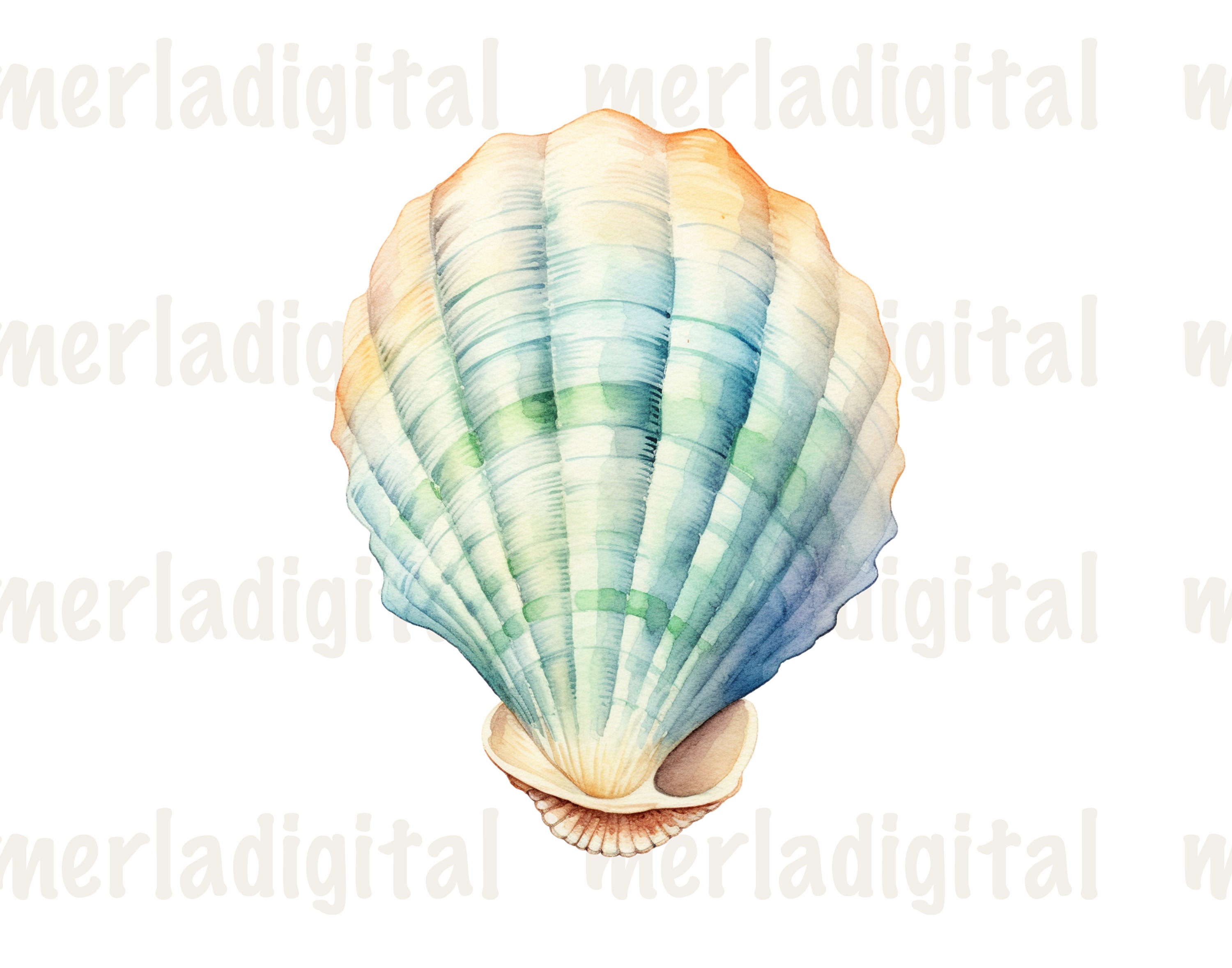 Seashell Watercolor Clipart, Ocean Beach Png, Nautical Clipart Bundle ...