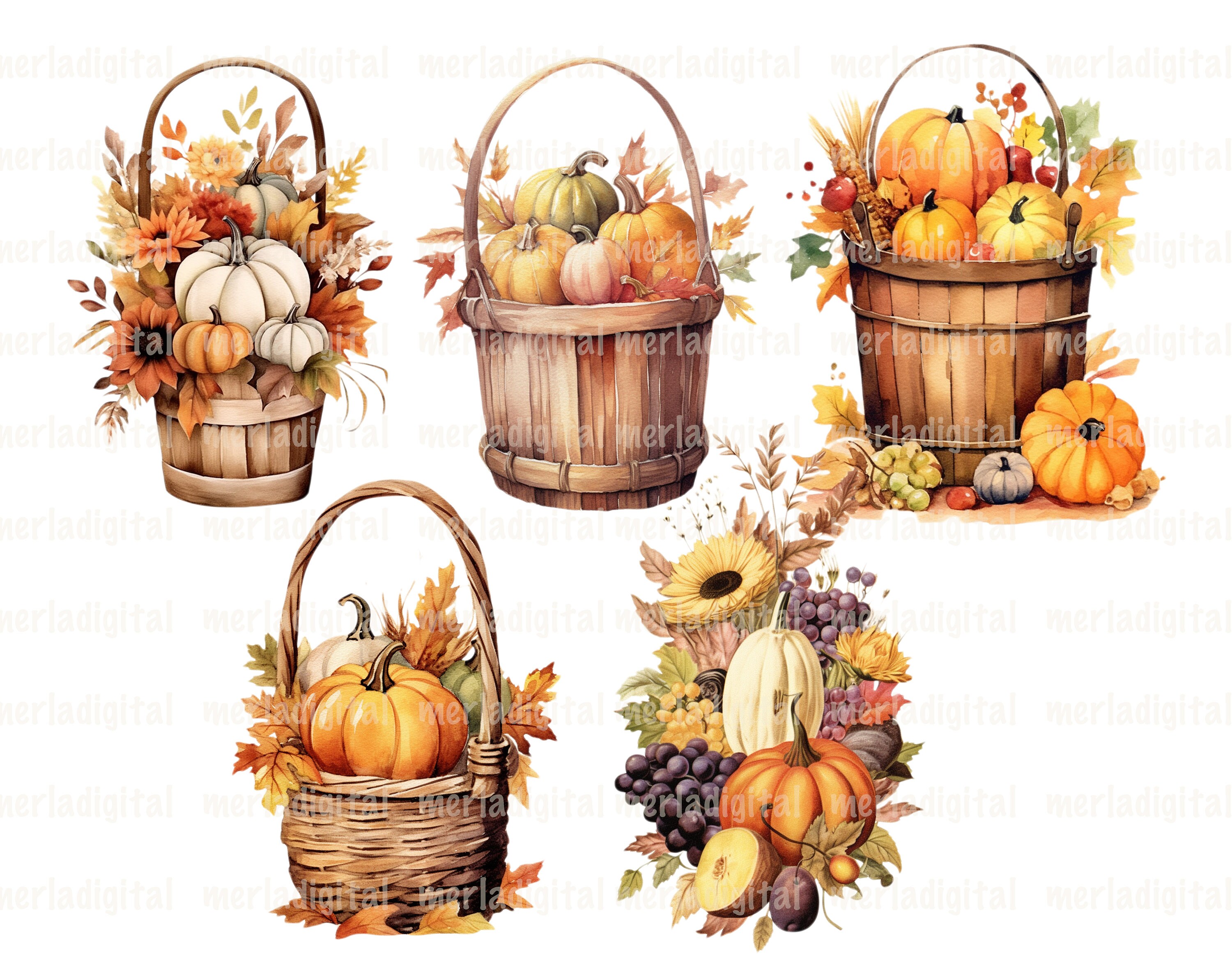 Autumn Harvest Clipart Watercolor Pumpkin Clipart Fall - Etsy