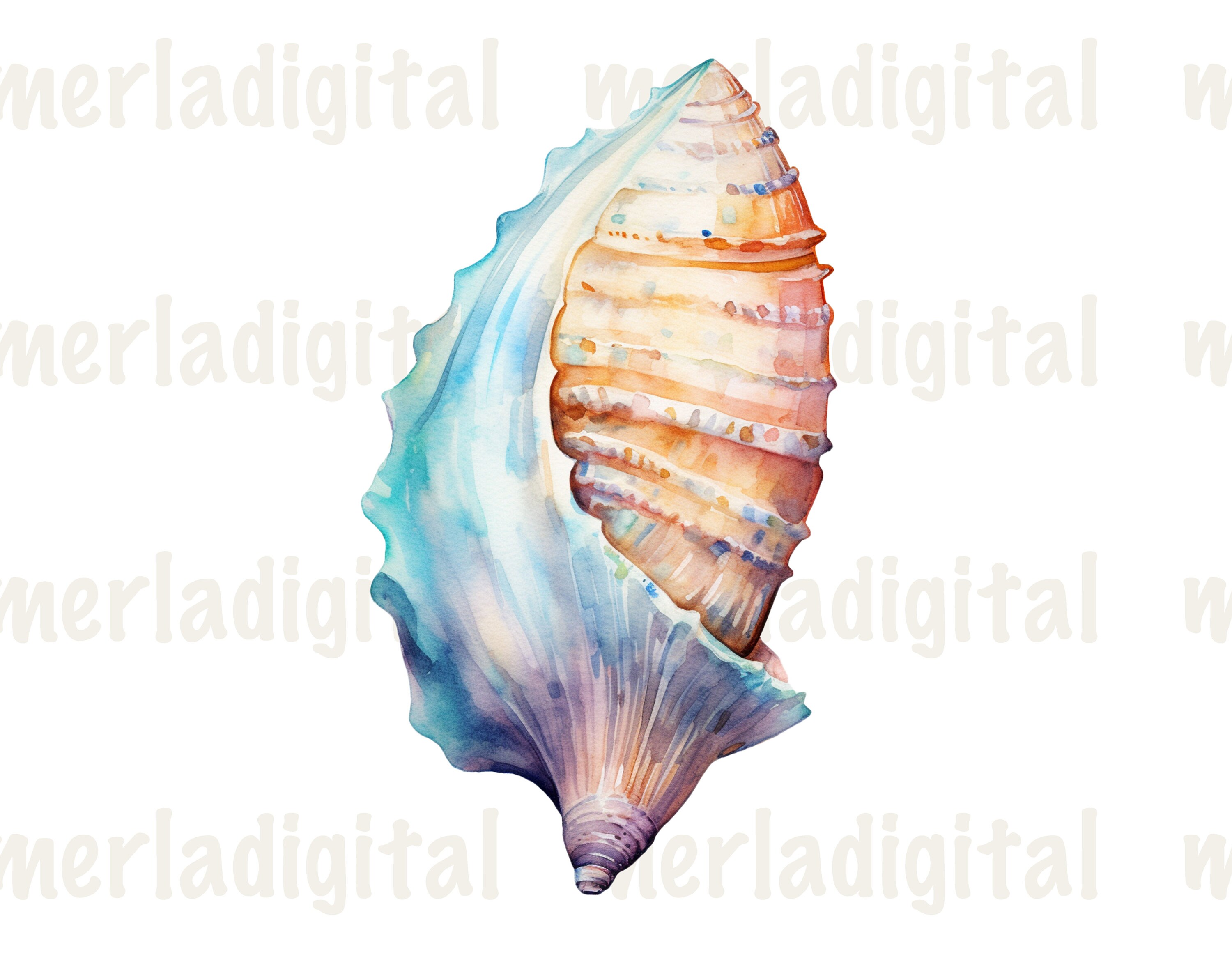 Seashell Watercolor Clipart, Ocean Beach Png, Nautical Clipart Bundle ...