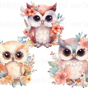 Floral Owl Watercolor Clipart Craft Card Making Transparent Background ...