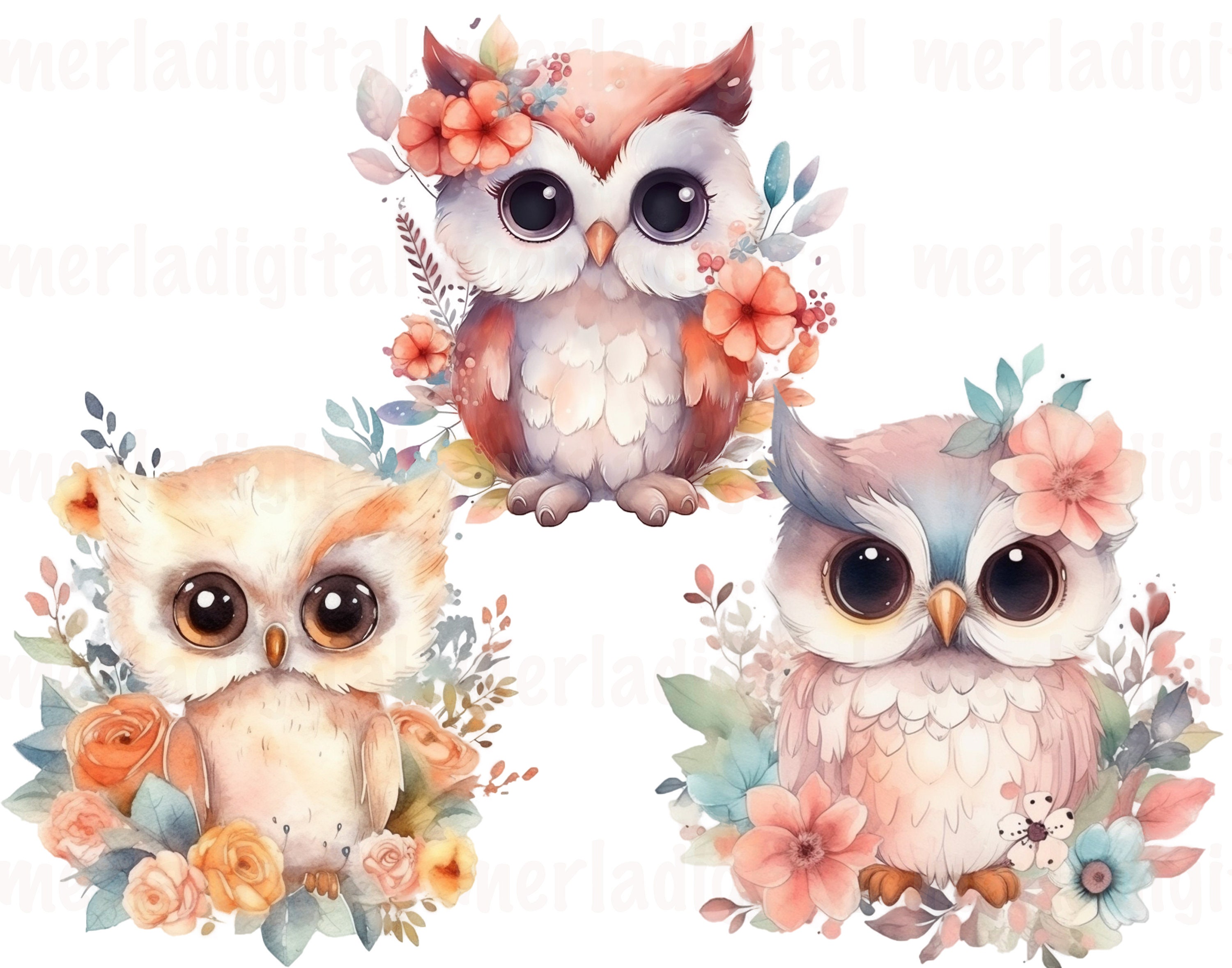 Floral Owl Watercolor Clipart Craft Card Making Transparent Background ...