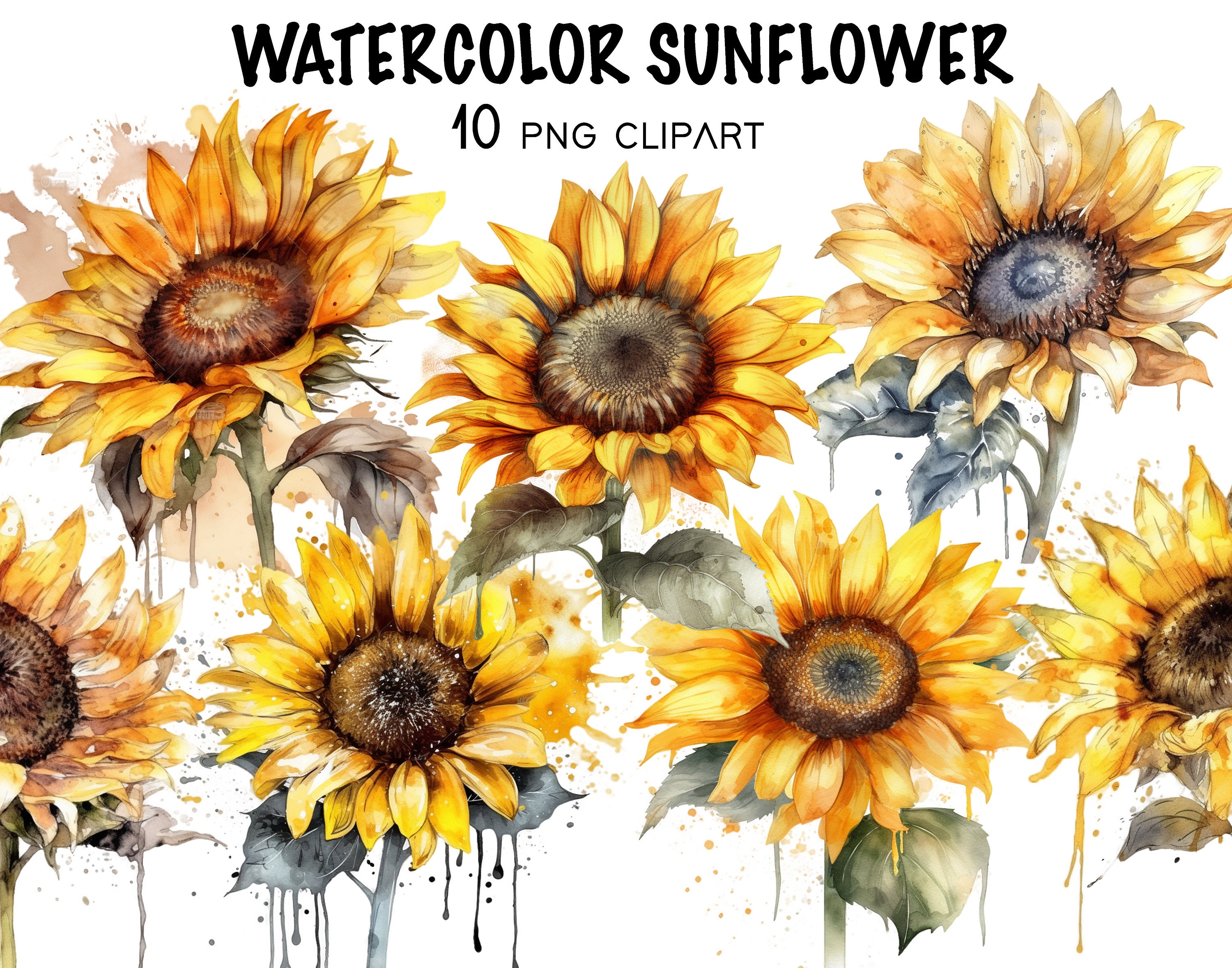 Sunflower Watercolor Clipart, 10 High Quality Png, Flower Instant ...