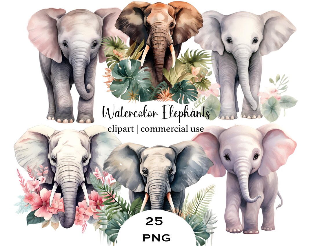 Watercolor Elephant Clipart Bundle, Floral PNG Images (digital Download ...