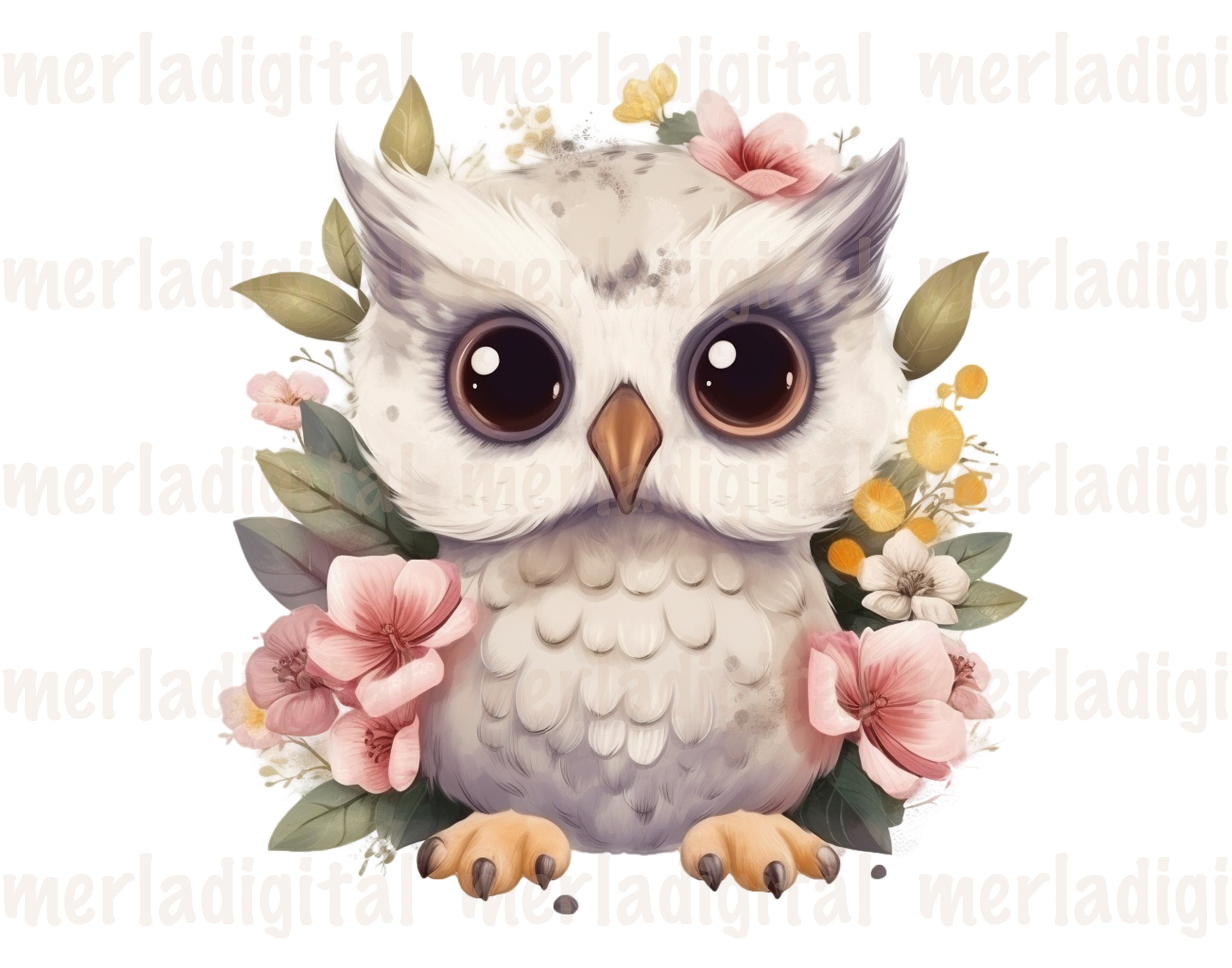 Floral Owl Watercolor Clipart Craft Card Making Transparent Background ...