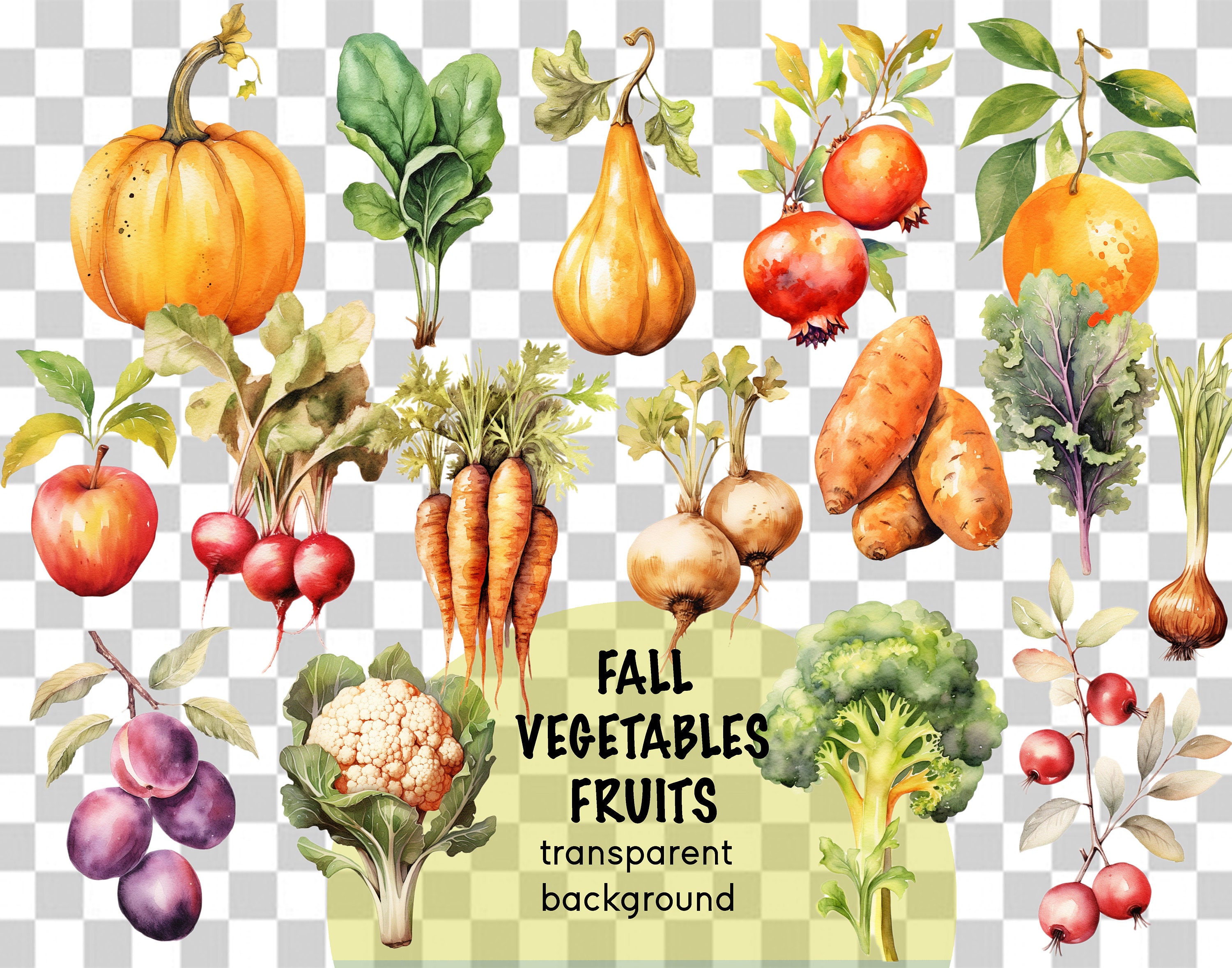 Watercolor Fall Vegetables Clipart Autumn Vegetables and Fruits Png ...