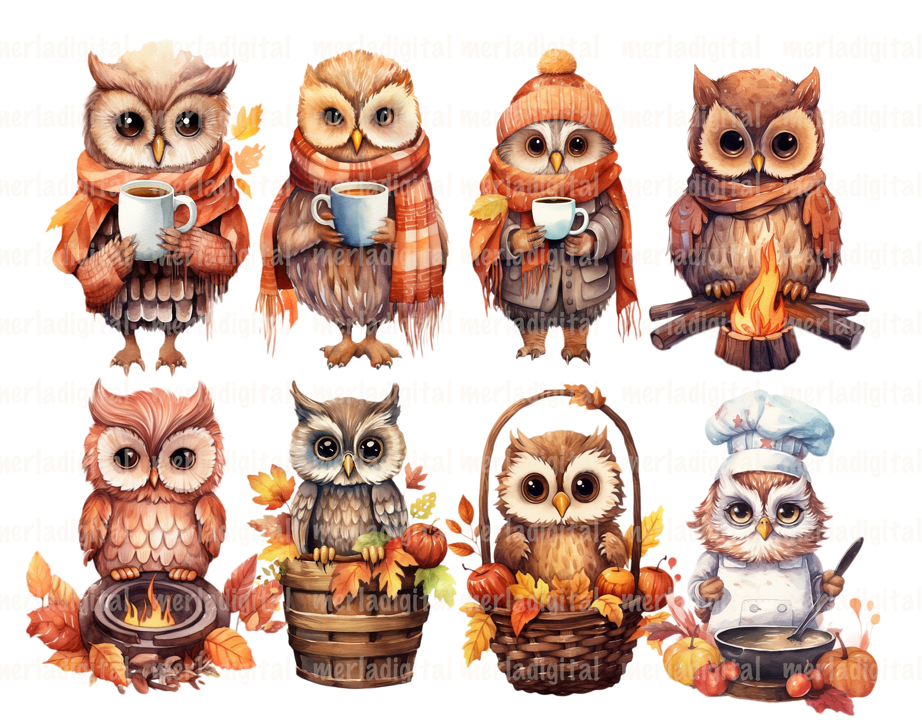 Autumn Owl Watercolor Clipart Fall Animal Funny Png Kids - Etsy