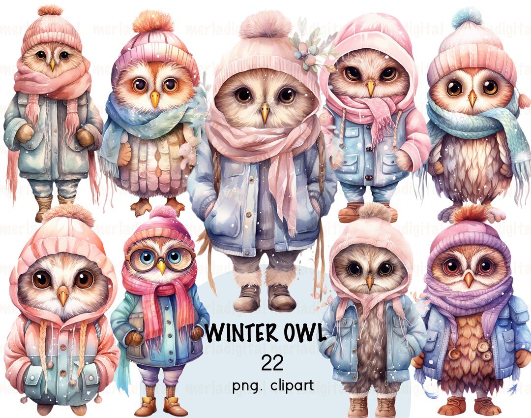 Winter Cute Owl Watercolor Clipart, Winter Animal Clipart Png, Kids ...