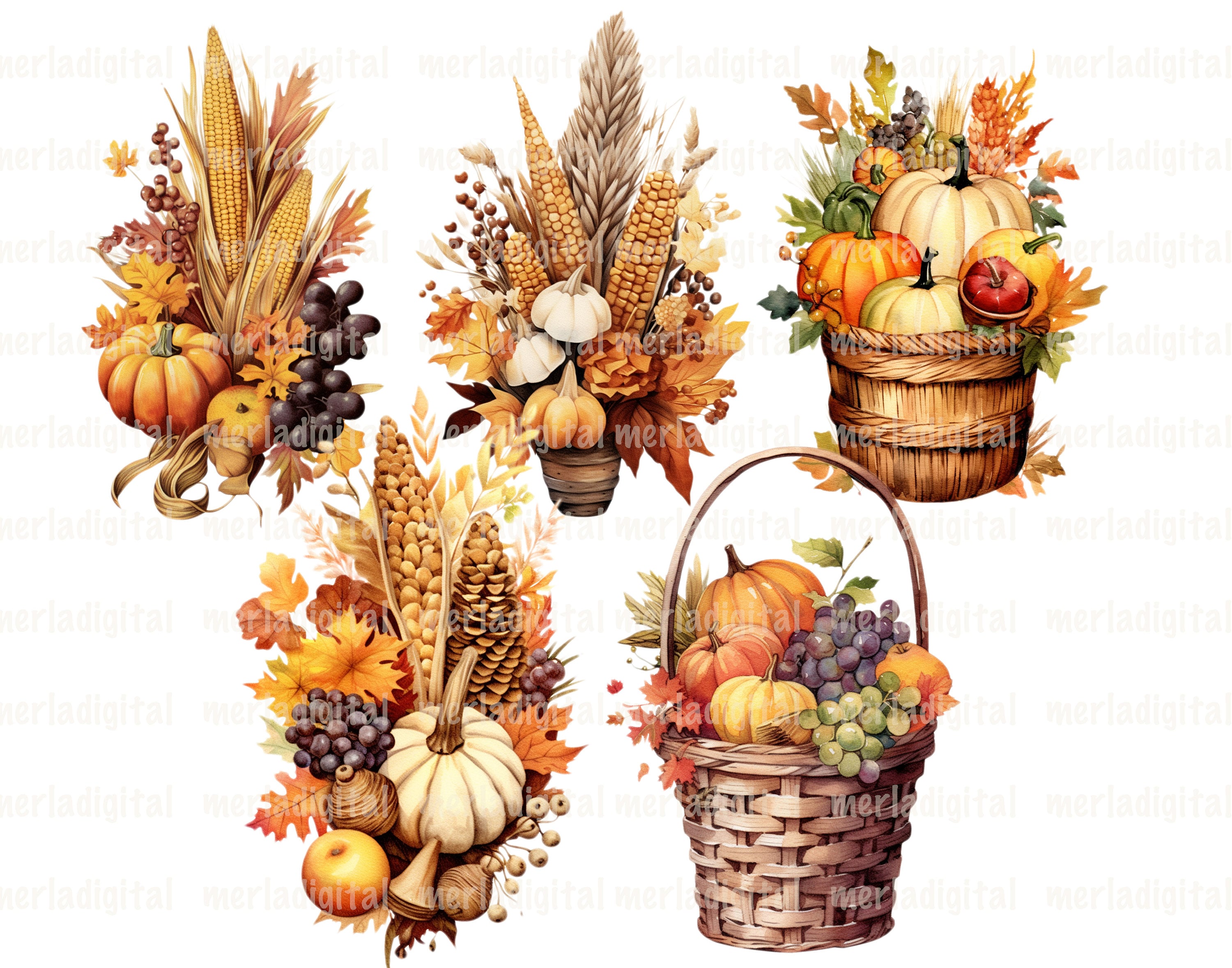 Autumn Harvest Clipart Watercolor Pumpkin Clipart Fall - Etsy