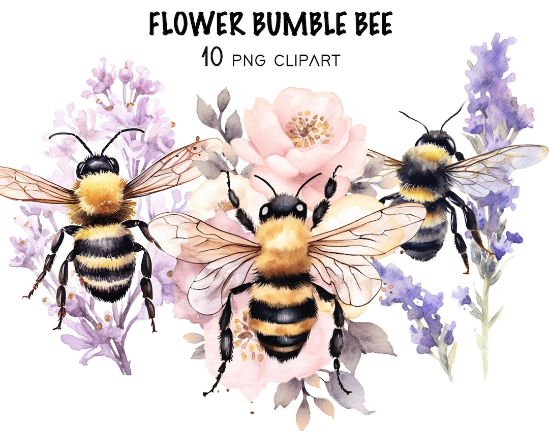 Bumble Bee Clipart Watercolor Flower Bee PNG Graphic Scrapbook Bee ...