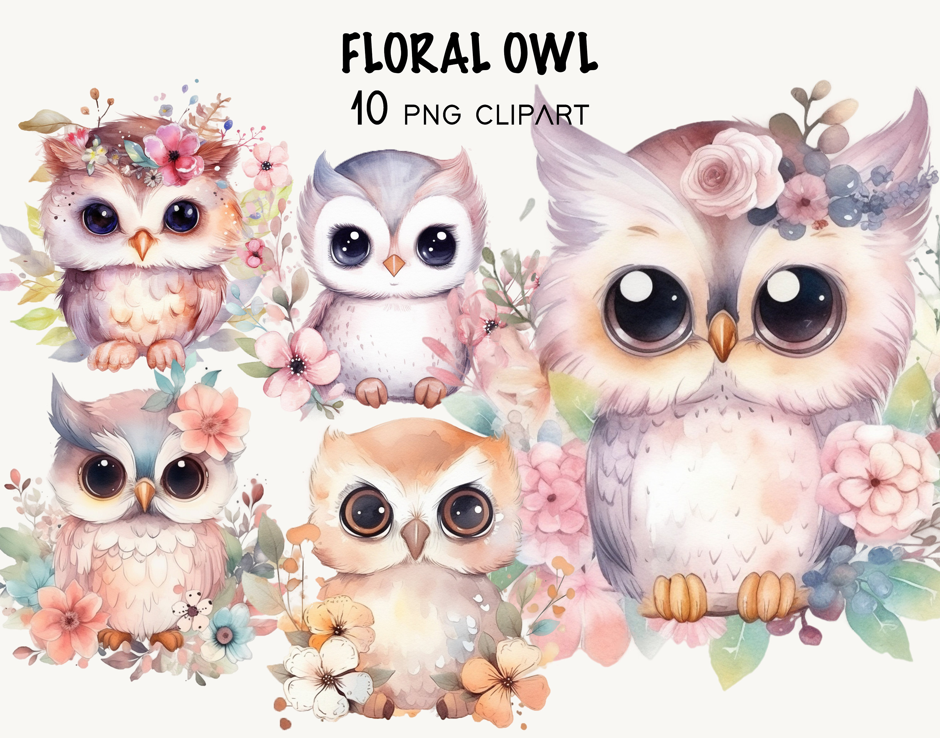 Floral Owl Watercolor Clipart Craft Card Making Transparent Background ...