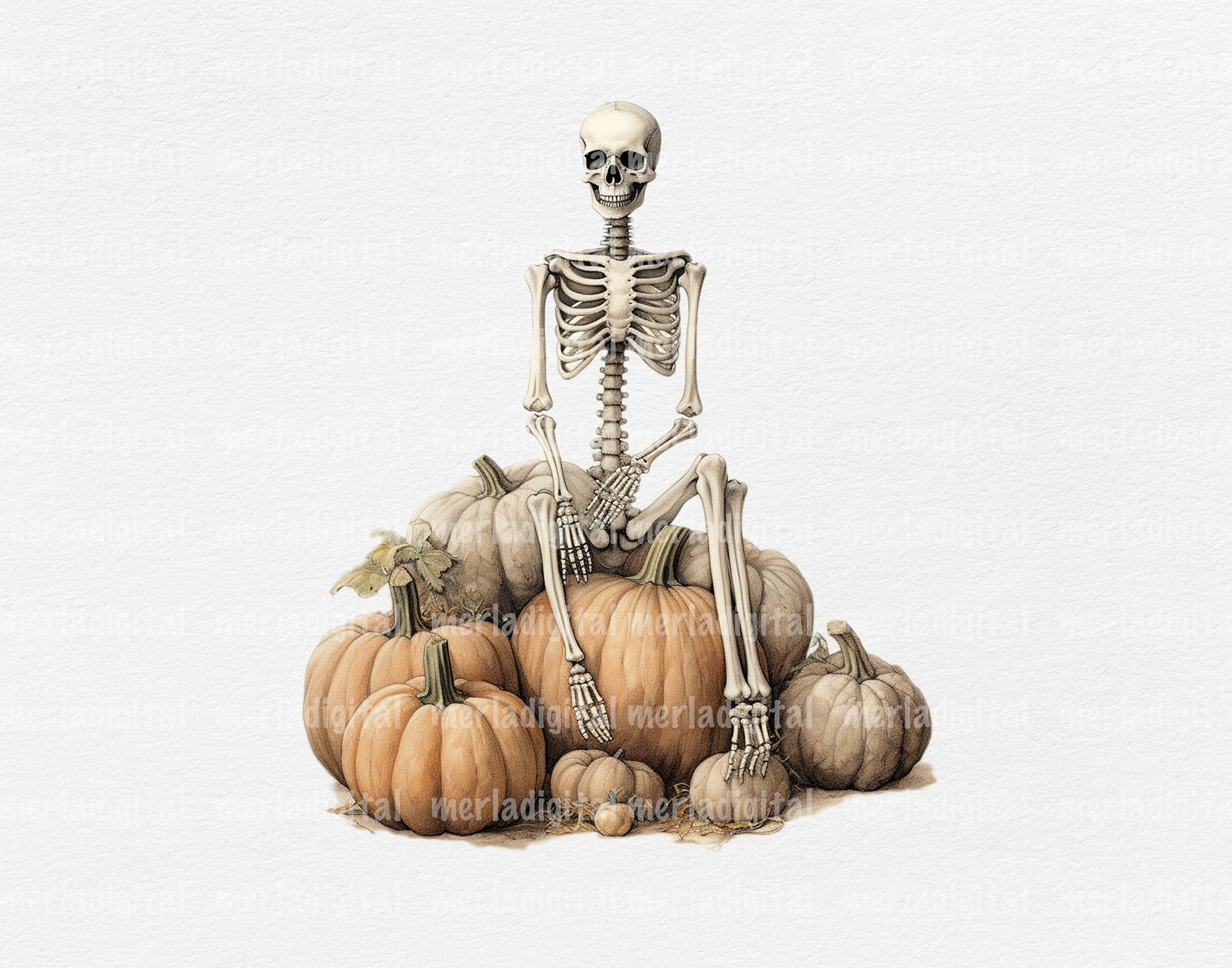 Skeleton Pumpkin Watercolor Clipart for Halloween Decor Minimal Skull ...