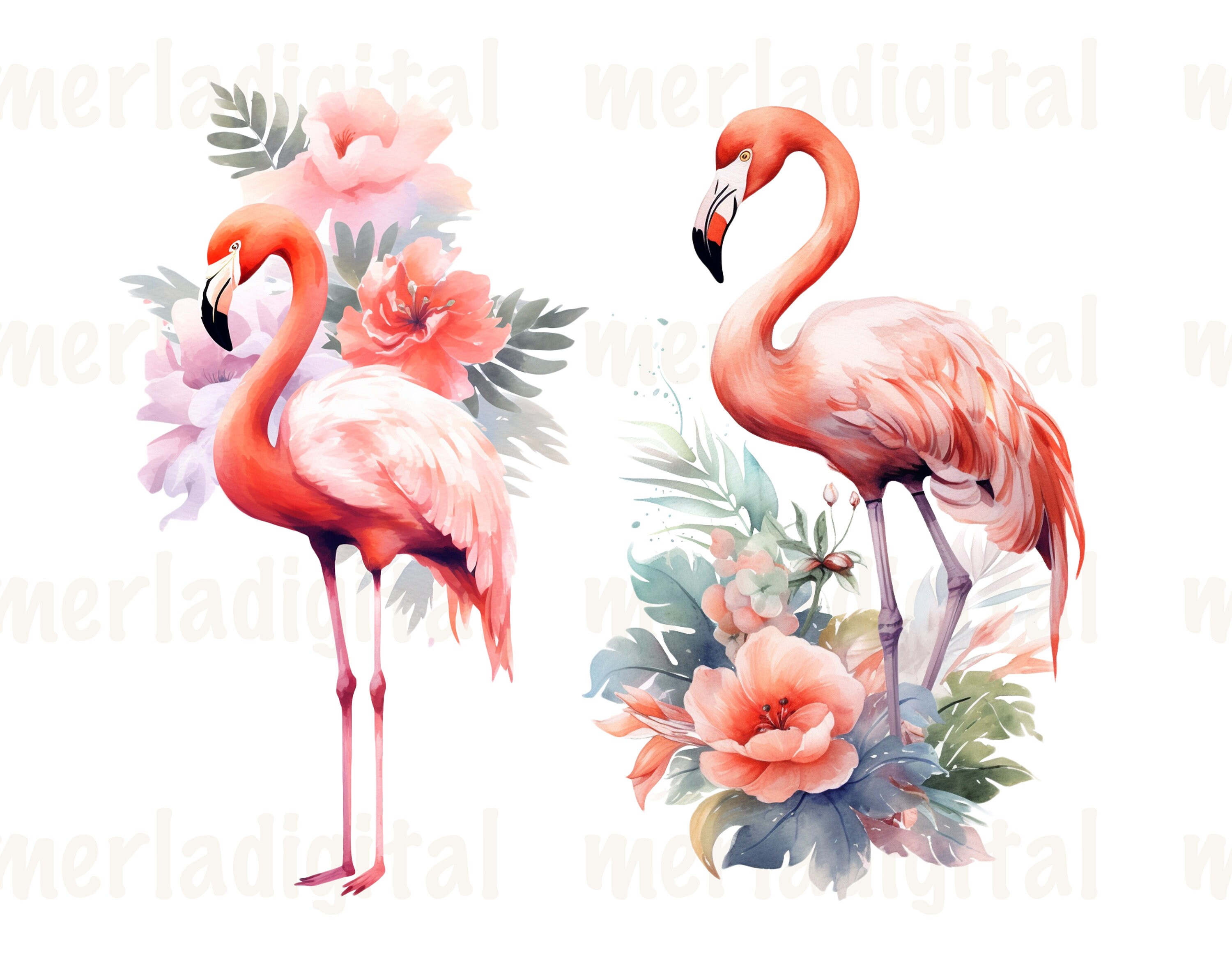 Flamingo Watercolor Clipart Tropical Illustration Flowers Leaves PNG ...