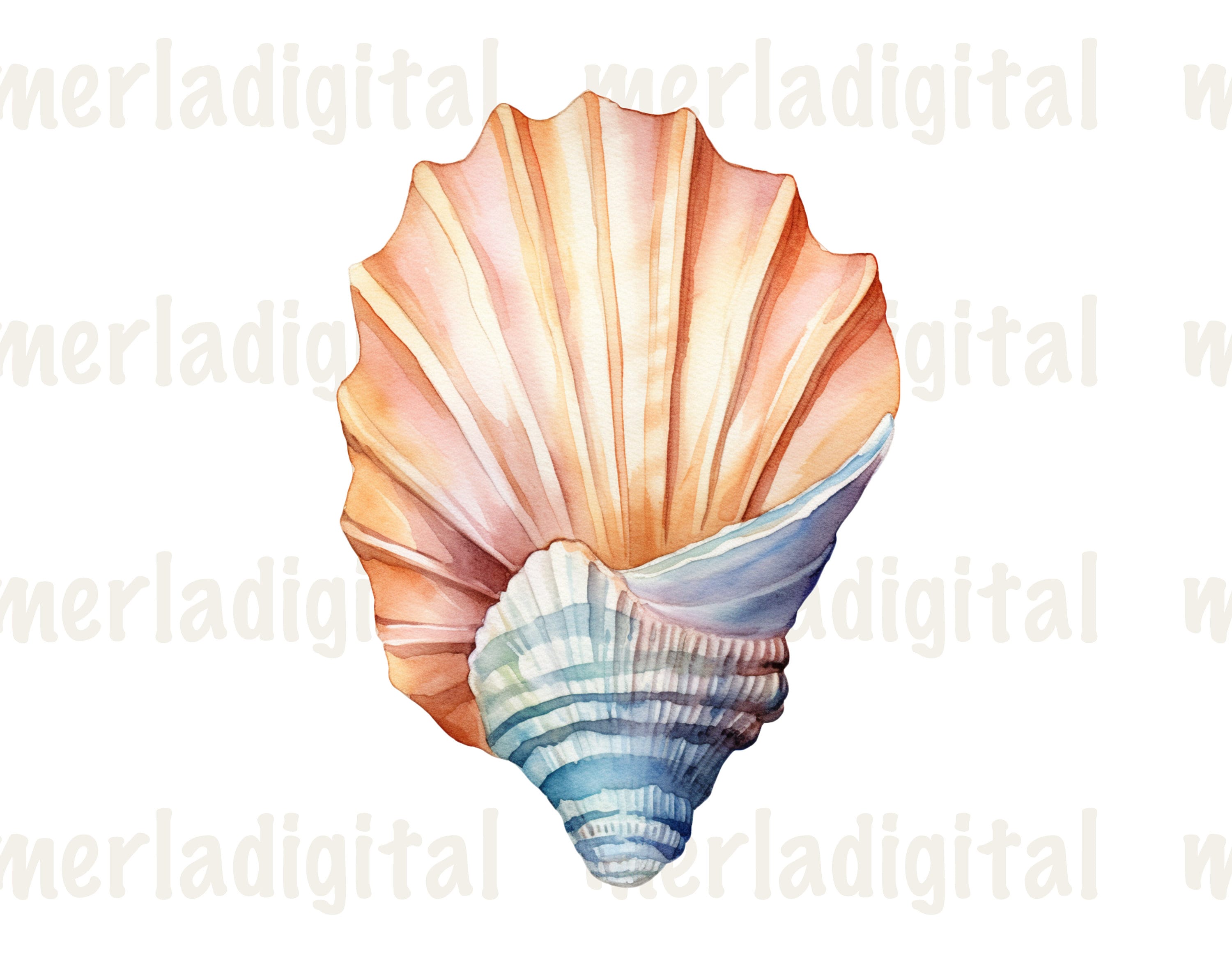 Seashell Watercolor Clipart, Ocean Beach Png, Nautical Clipart Bundle ...