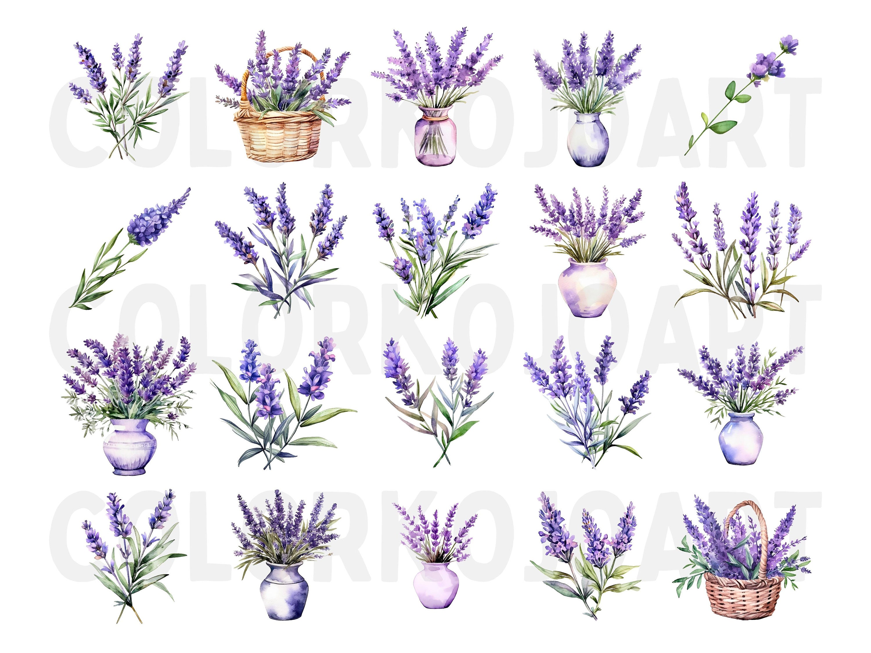 20 Soft Lavender Elements Clipart Bundle Lavender Clipart Watercolor ...