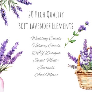 20 Soft Lavender Elements Clipart Bundle | Lavender Clipart ...