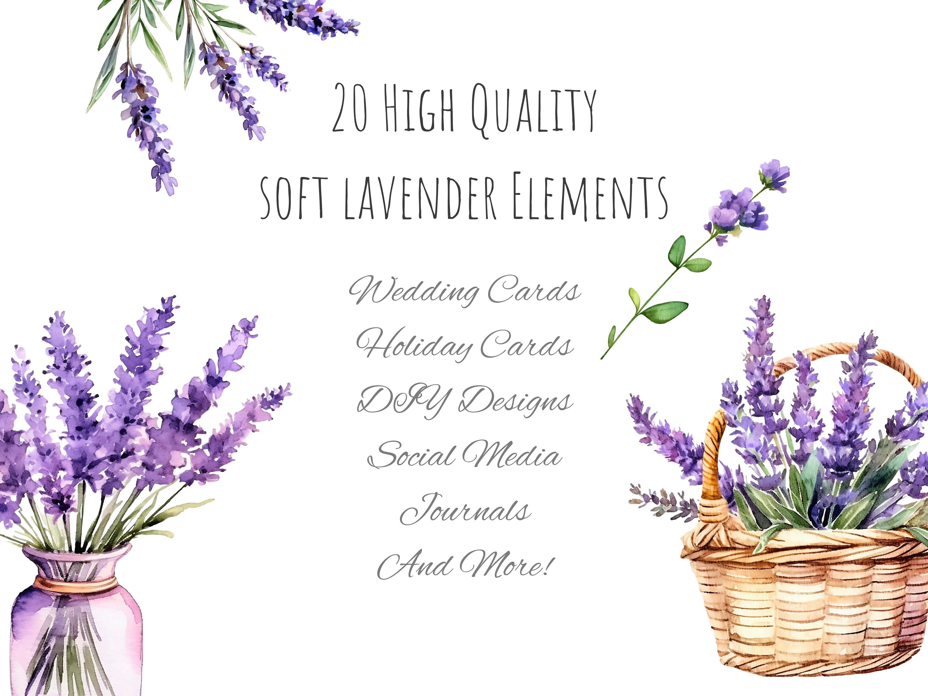 20 Soft Lavender Elements Clipart Bundle Lavender Clipart Watercolor ...