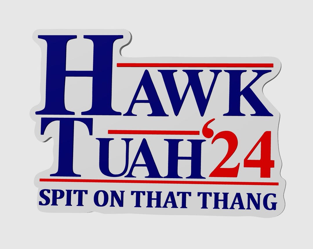 3D Printed Hawk Tuah Wall Signs - Etsy
