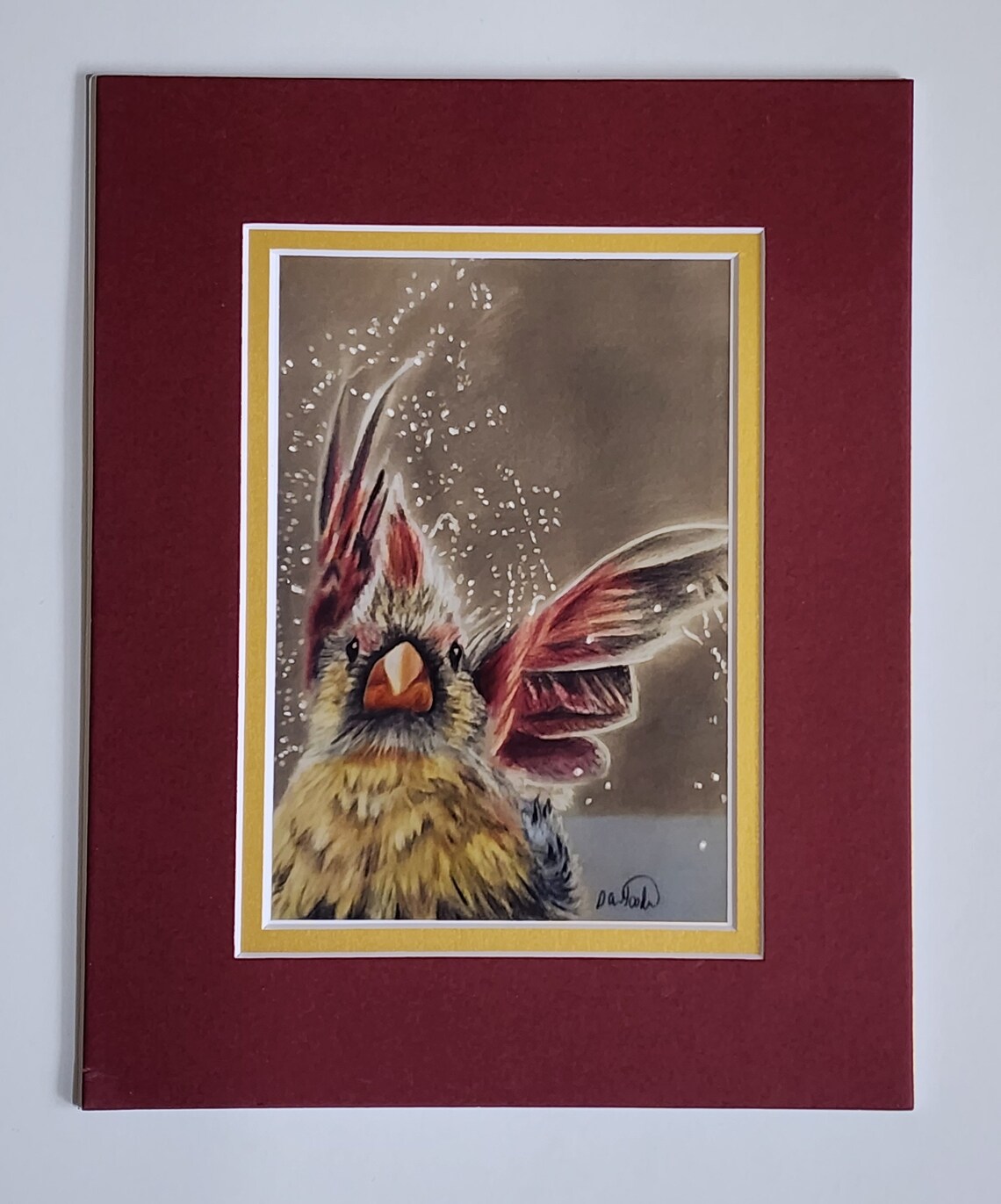 Cardinal Colored Pencil Drawing Print Femaile Cardinal - Etsy