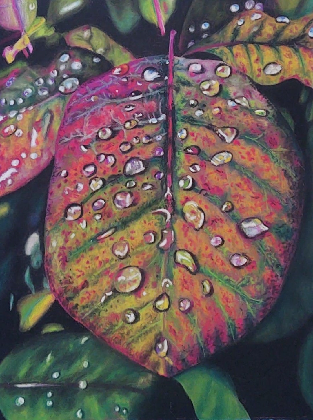 Leaves Drawing With Water Droplets, Hand Drawn, Colored Pencil, Print ...