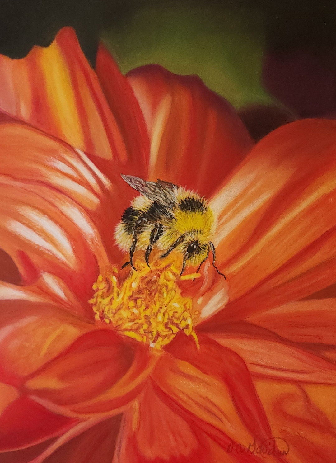 Bee on a Flower Drawing, Hand Drawn, Colored Pencil, Print of Original ...