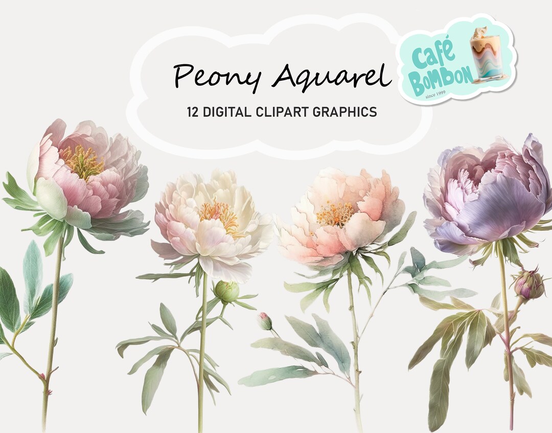 Watercolor Peonies Clipart | Digital Spring Summer Peony Flower, White ...