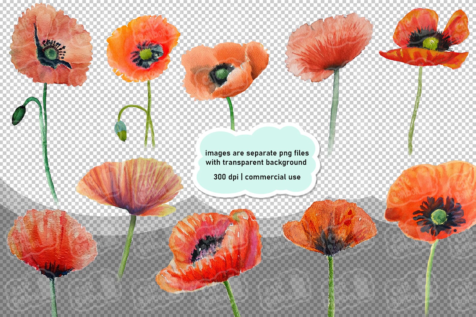 Watercolor Poppies Clip Art SVG Digital Summer Poppy Flowers - Etsy