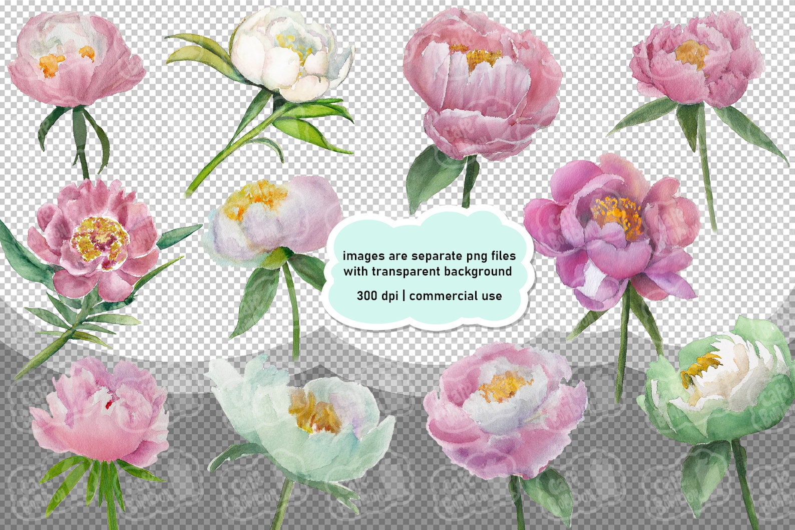 Watercolor Floral Clipart Watercolor Peony Clip Art - Etsy