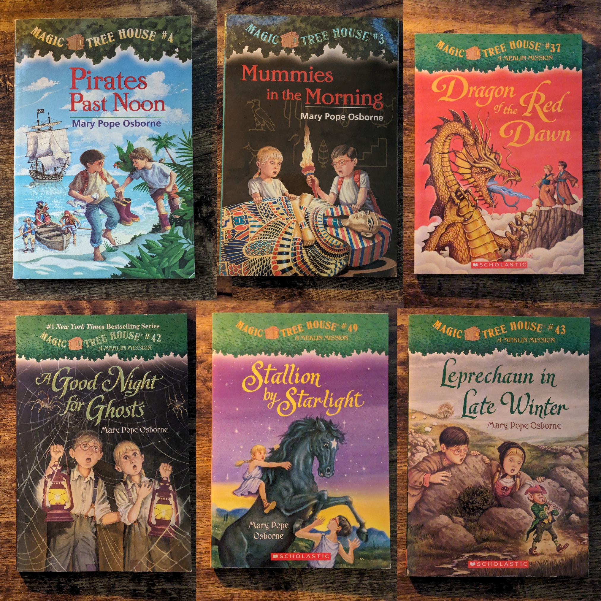 Magic Treehouse Book Series You Pick Children's Bestselling Chapter ...