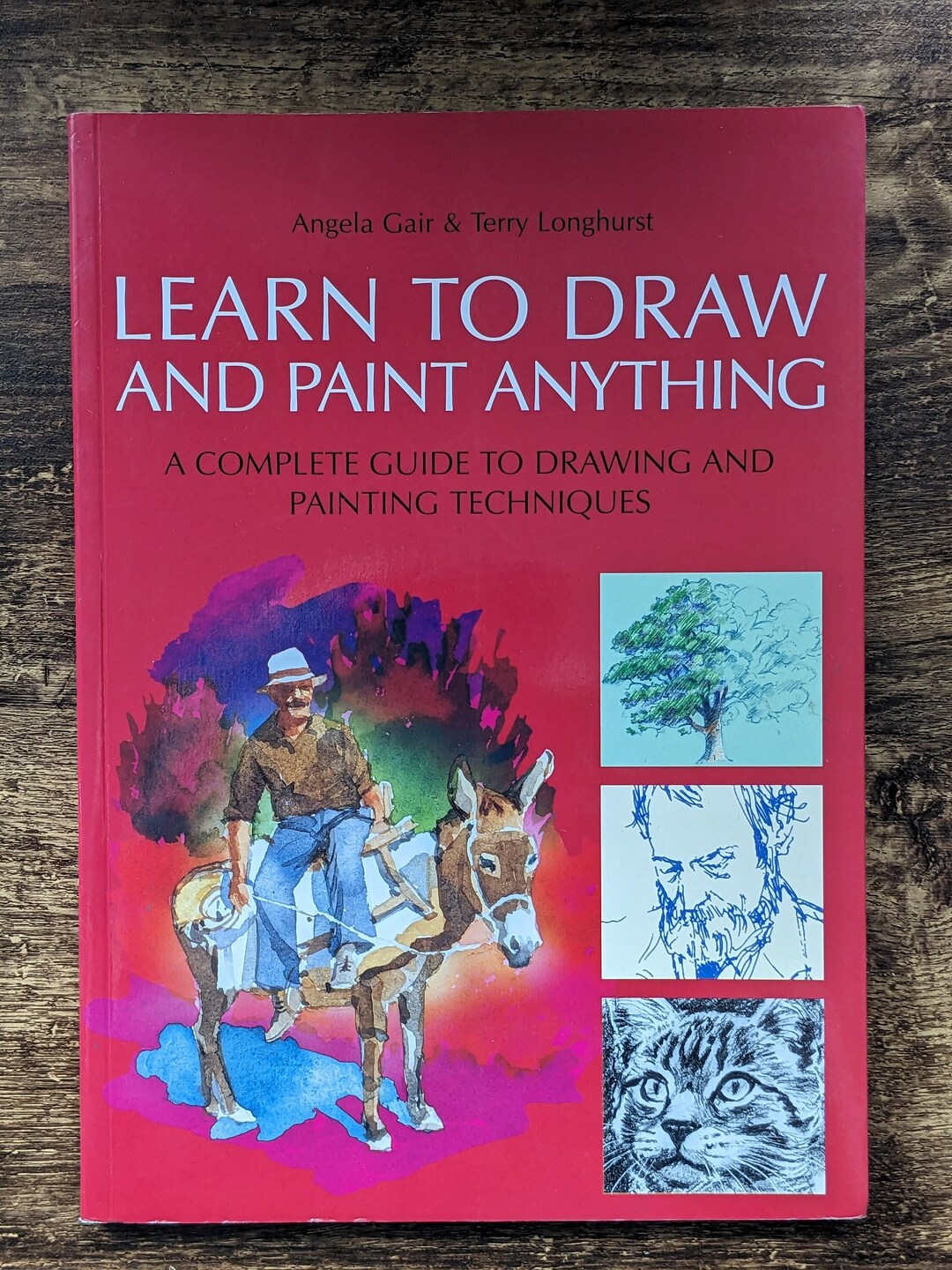 Learn to DRAW and PAINT ANYTHING Paperback Guide by Angela Gair & Terry ...