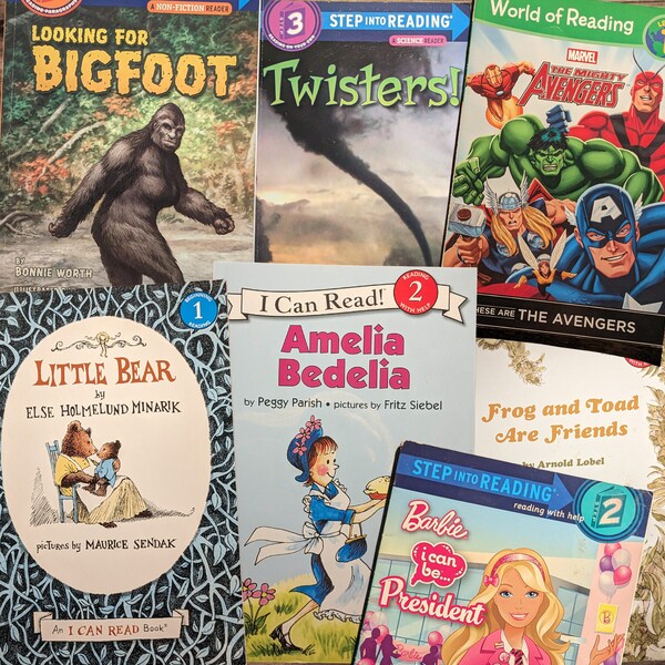 Early Reader Book - Etsy