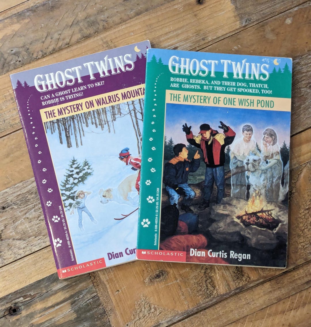 GHOST TWINS 2pk Set VINTAGE Kids Books #2, 3 by Dian Curtis Regan ...